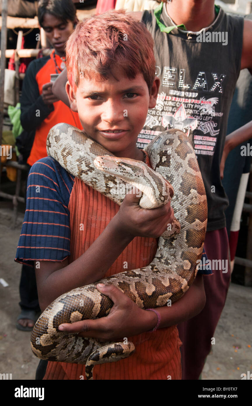 Boy and a python in kathmandu hi-res stock photography and images - Alamy
