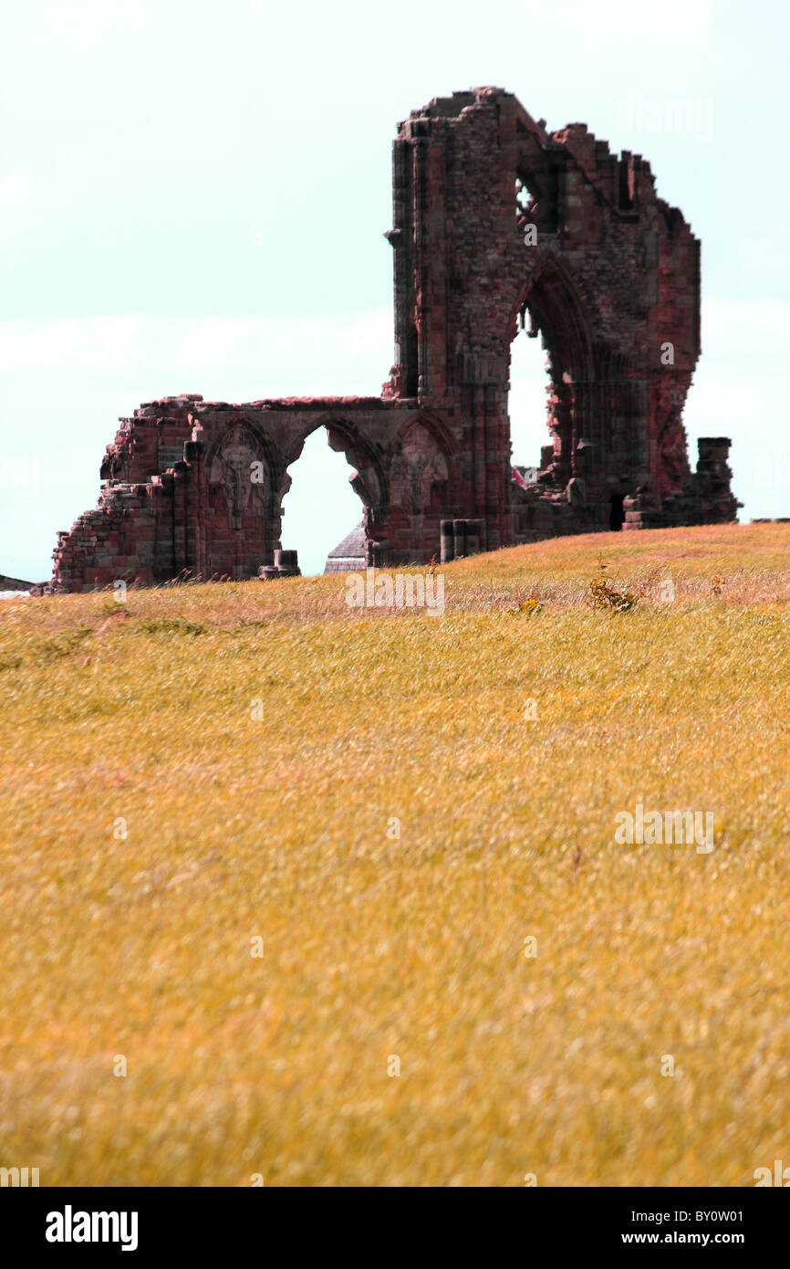 The ruins of Whitby Abbey in Whitby, Yorkshire; also known for its ...