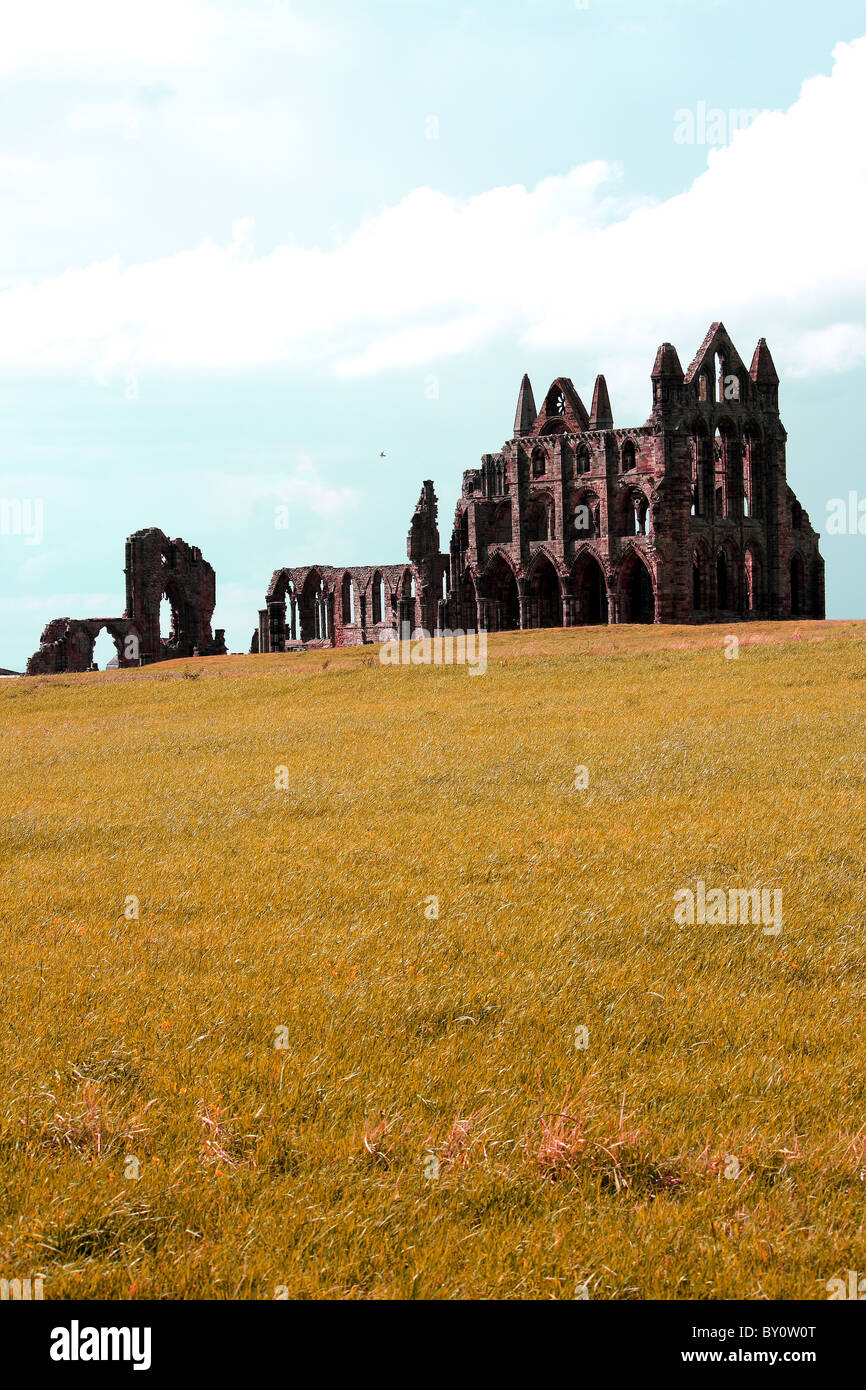 The ruins of Whitby Abbey in Whitby, Yorkshire; also known for its ...