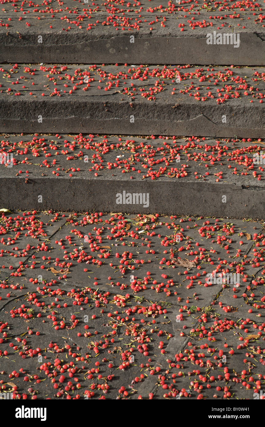 Uk steps hi-res stock photography and images - Alamy