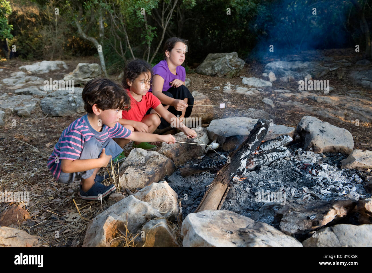 Three kids roasting marshmallows at a campfire Stock Photo - Alamy