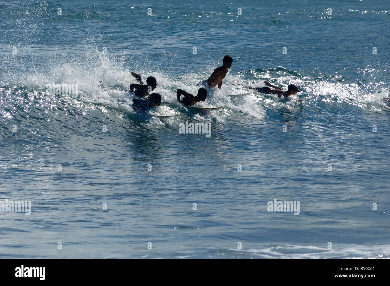Tamarin Mauritius High Resolution Stock Photography and Images - Alamy
