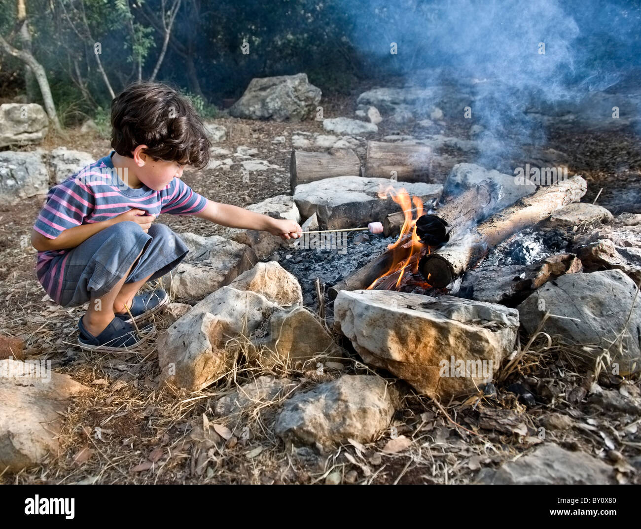 boy having marshmallow at the campfire Stock Photo - Alamy