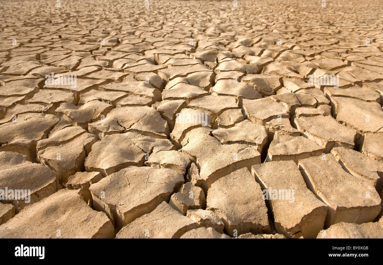 cracked soil pattern in the Zin valley, Arava, Israel Stock Photo - Alamy