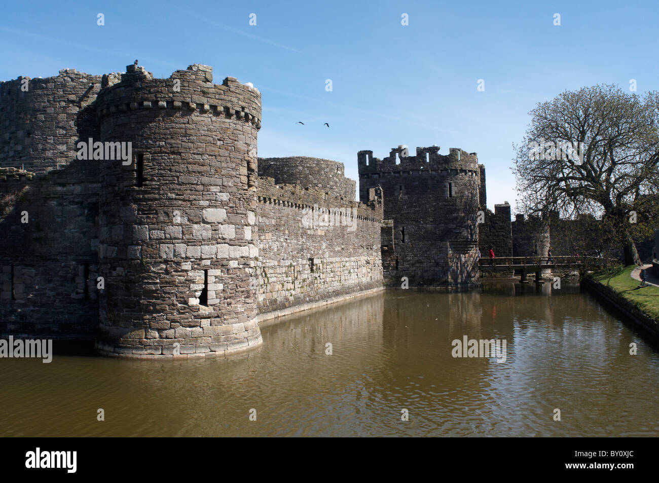 Views of Beaumaris castle Stock Photo - Alamy