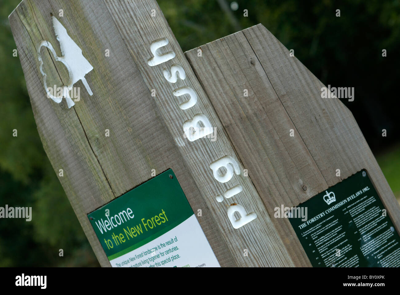 A Forestry Commission information sign at Pig Bush in the New Forest ...