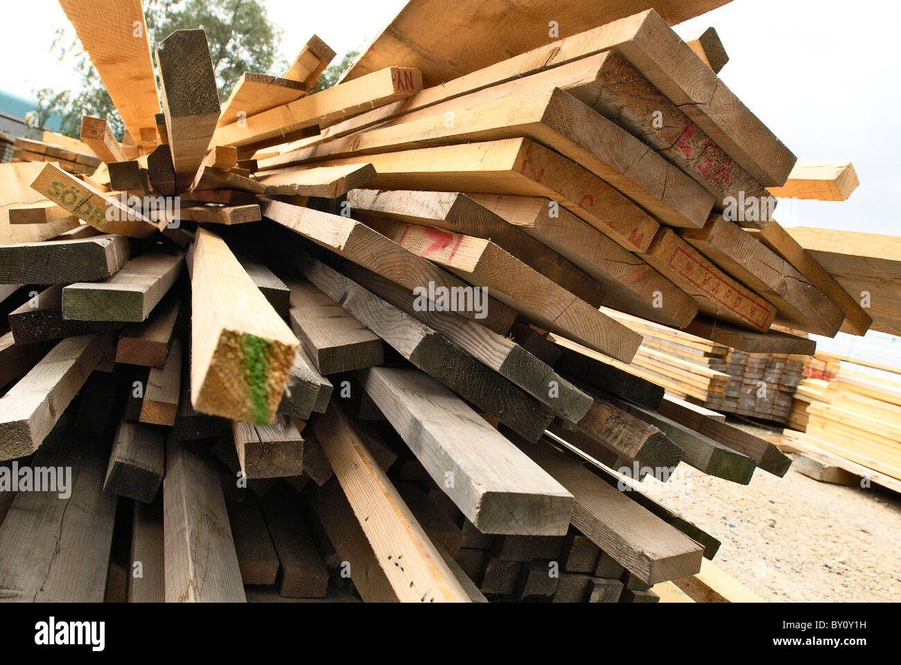 Stacked wood in timber's merchant warehouse Stock Photo - Alamy