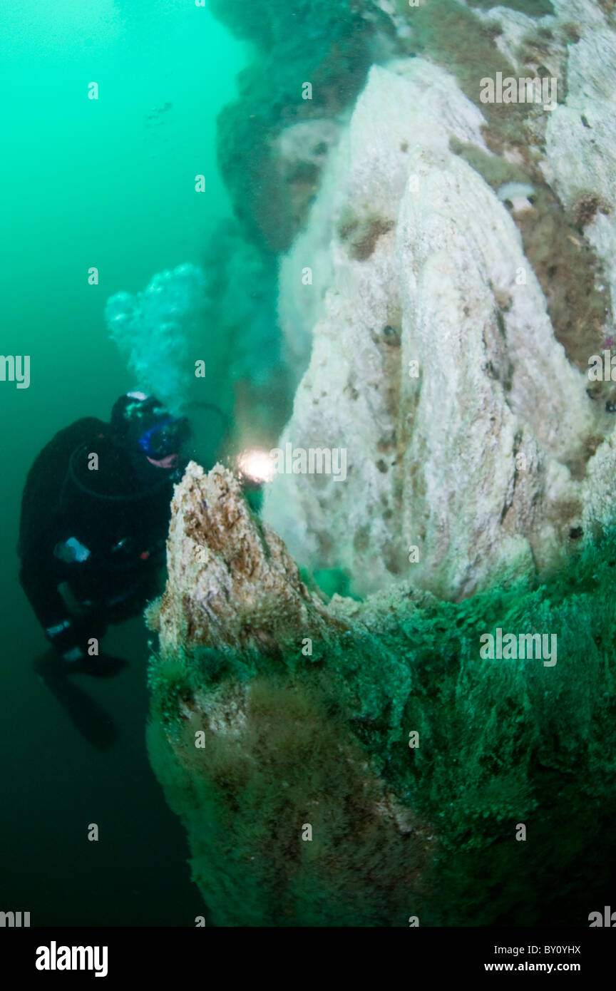 Scuba diving in volcanic active Eyijafjordur, Akureyri, Iceland Stock ...