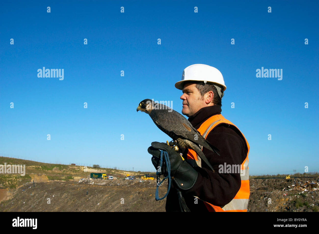 Birds of prey are increasingly being used as a highly efficient and ...