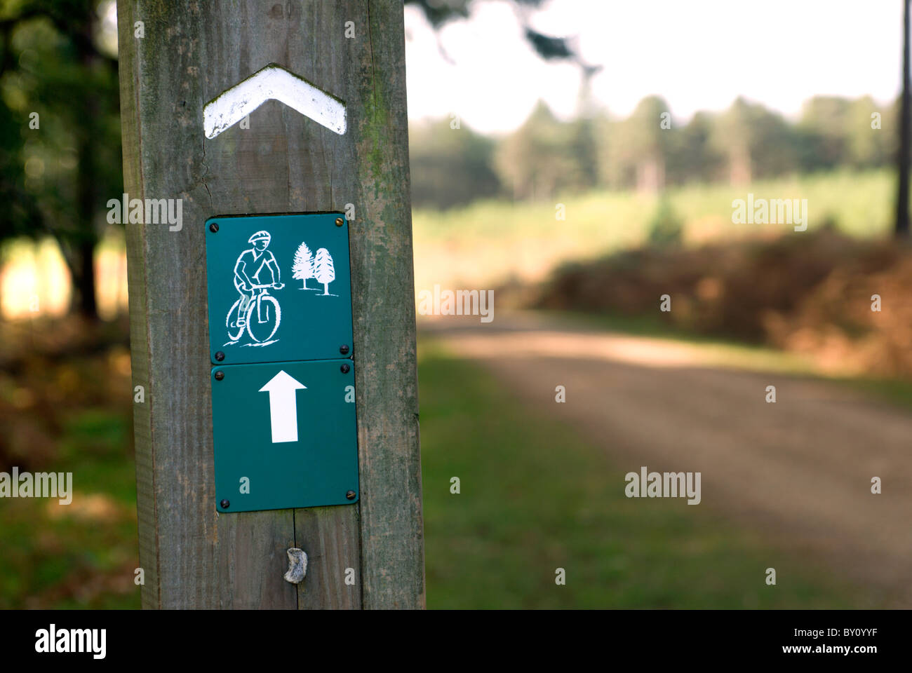 Forestry Commission information sign near Acres Down near Minstead in ...