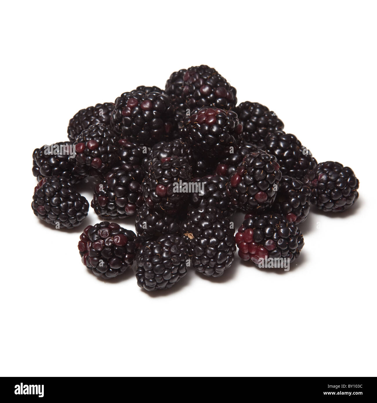 Blackberries isolated on a white studio background Stock Photo - Alamy