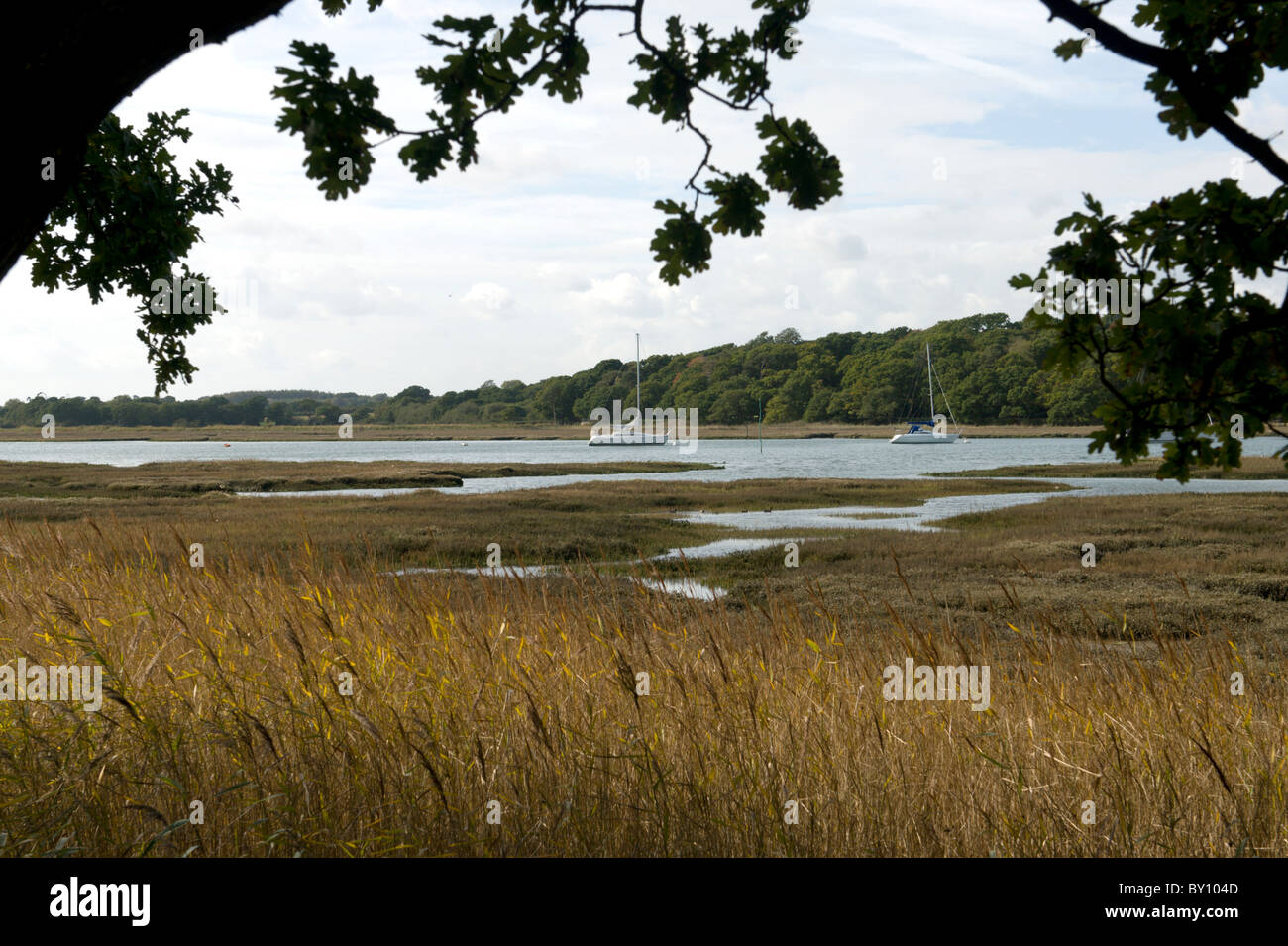 Hampshire new forest national park beaulieu river hi-res stock ...