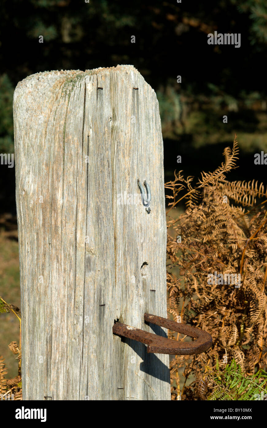 Old gate post hi-res stock photography and images - Alamy