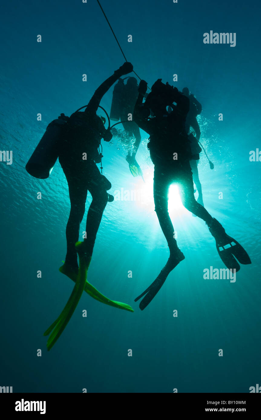 Shotline hi-res stock photography and images - Alamy