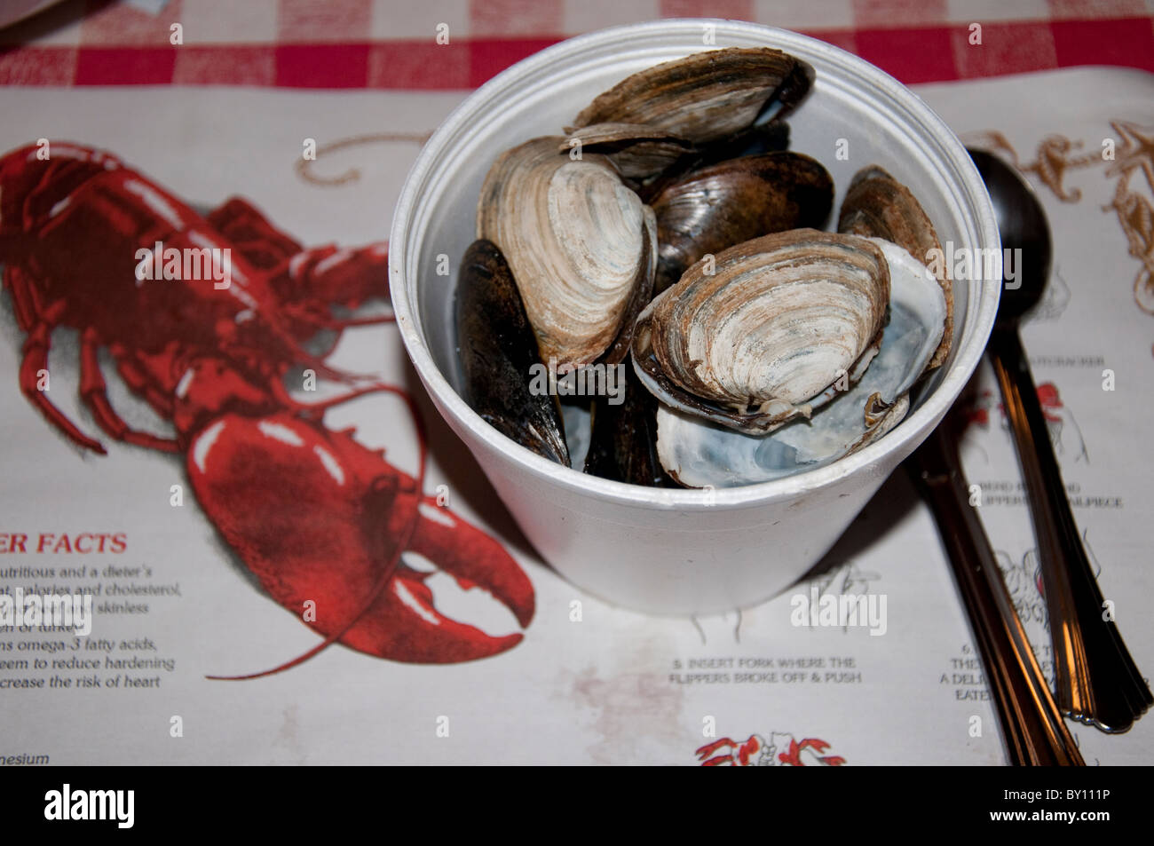 Soft Shell Clams High Resolution Stock Photography and Images - Alamy