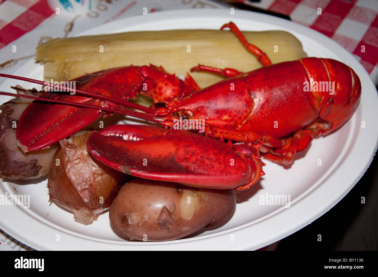 Maine Lobster and soft shell clams in Plymouth Massachusetts USA Stock ...