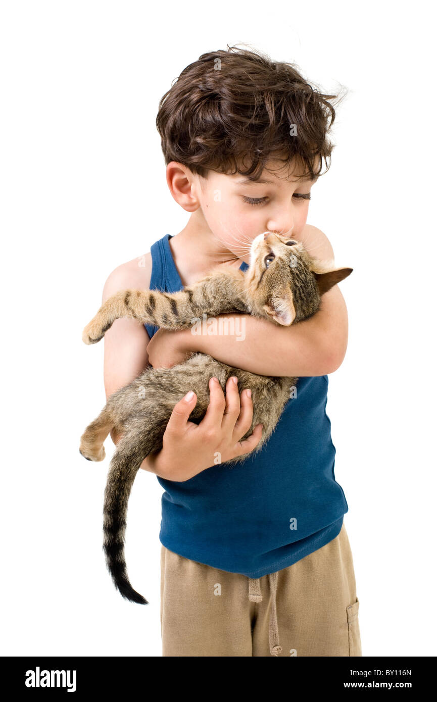 Kitten only hi-res stock photography and images - Alamy
