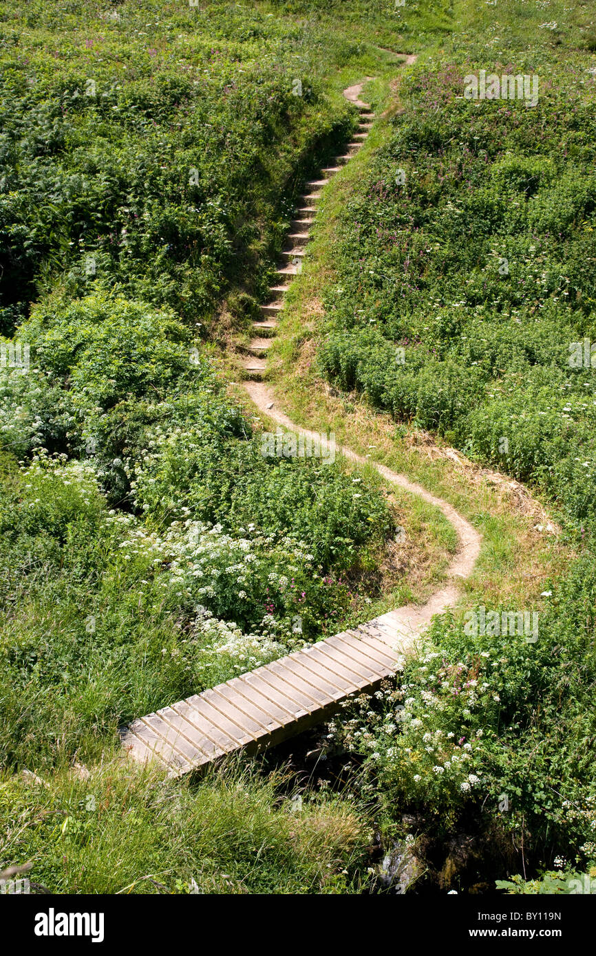 Wooden plank bridge and steps on the South West Coast Path near ...
