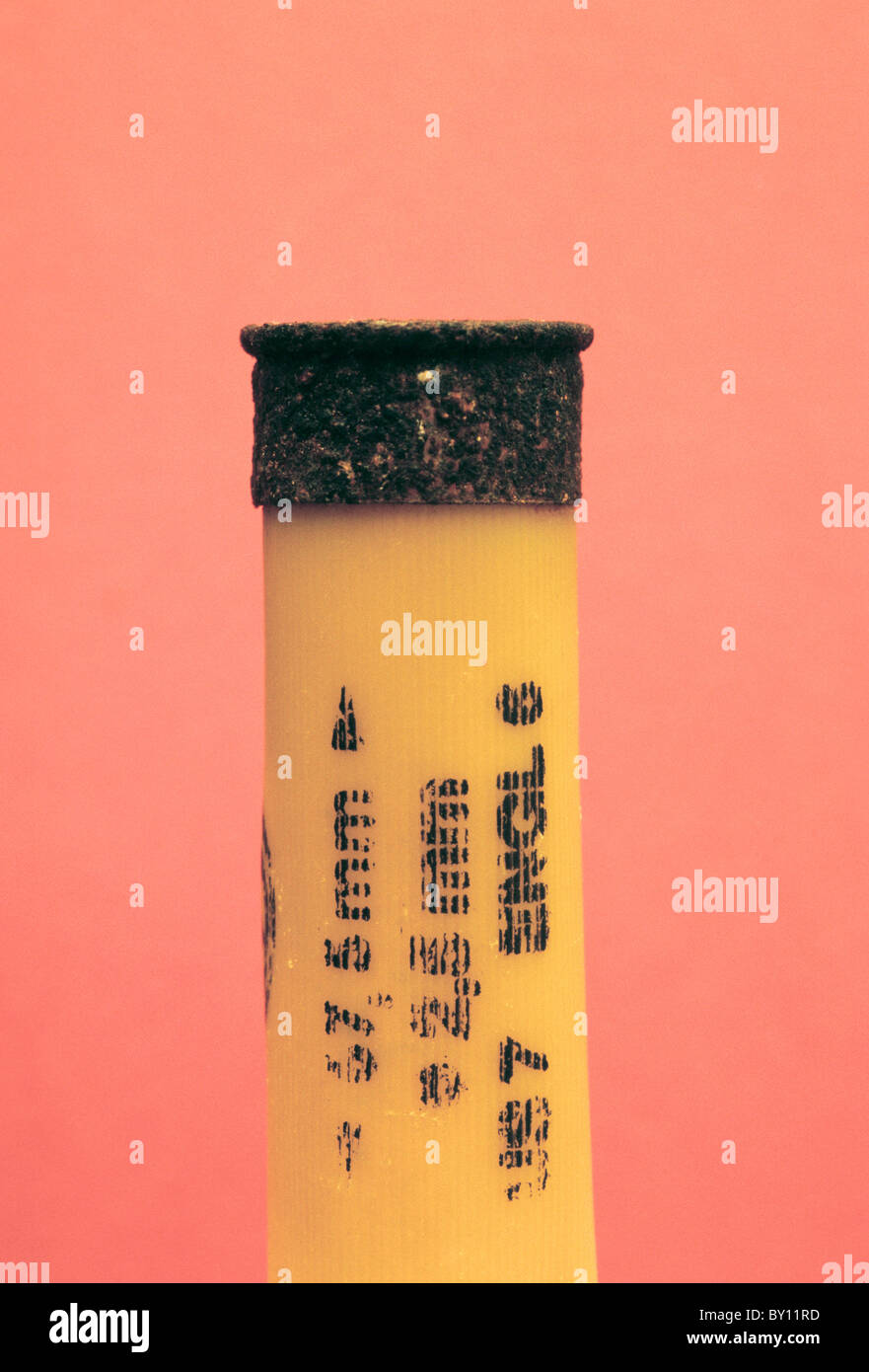 old shotgun shell Stock Photo - Alamy