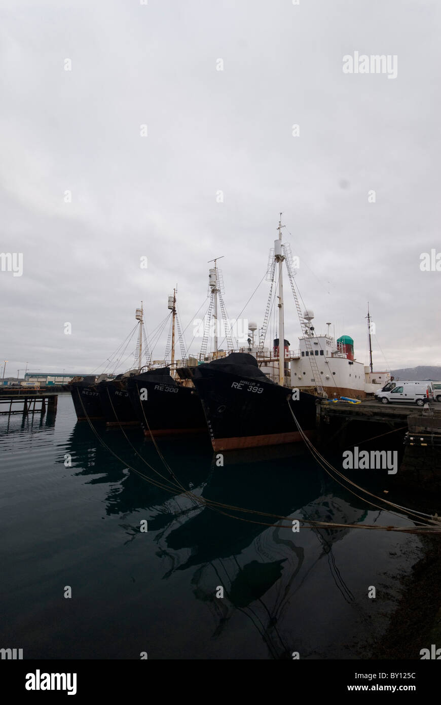 Whaling is the practice hi-res stock photography and images - Alamy