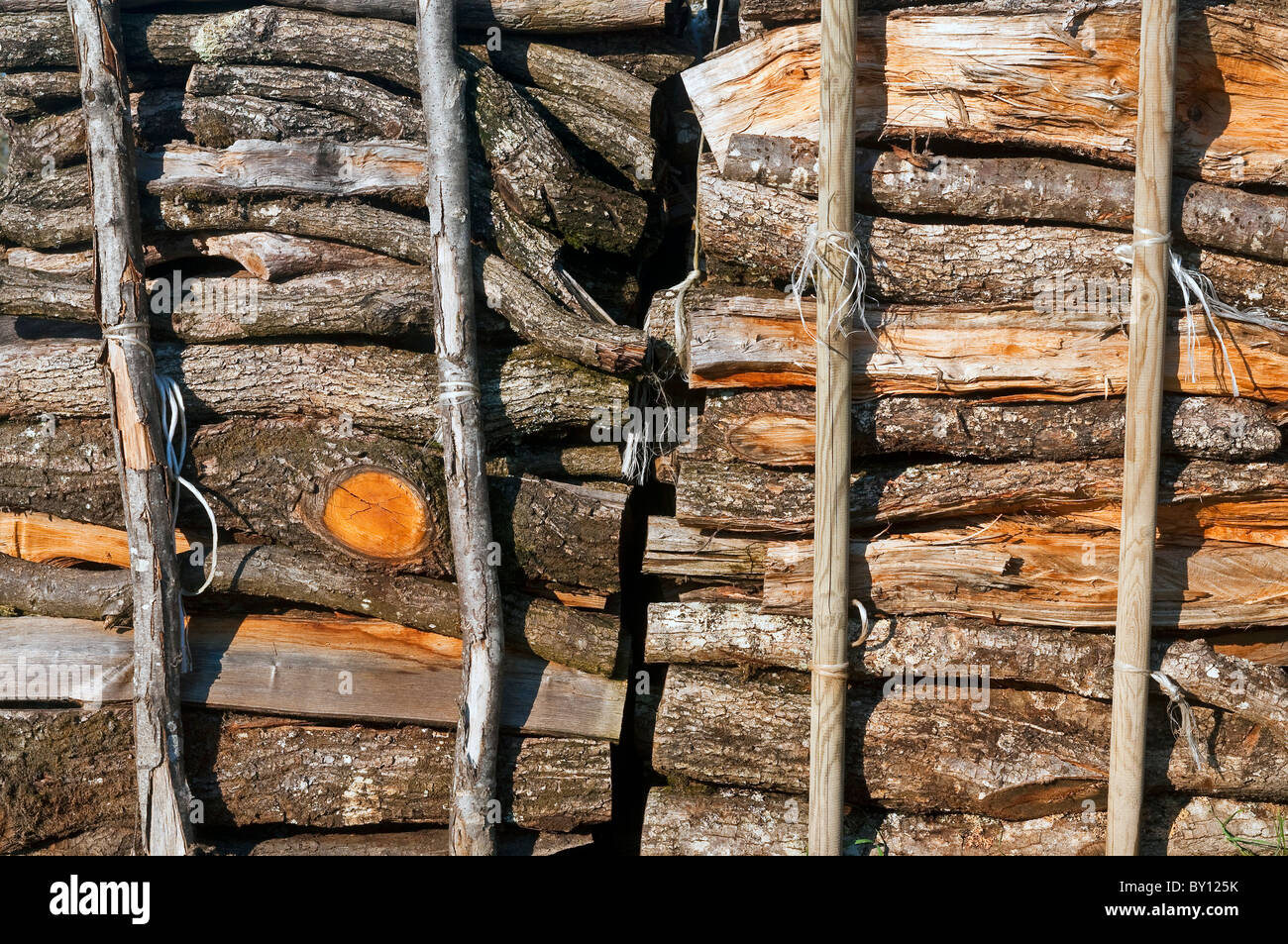 Stack chopped oak wood domestic hi-res stock photography and images - Alamy