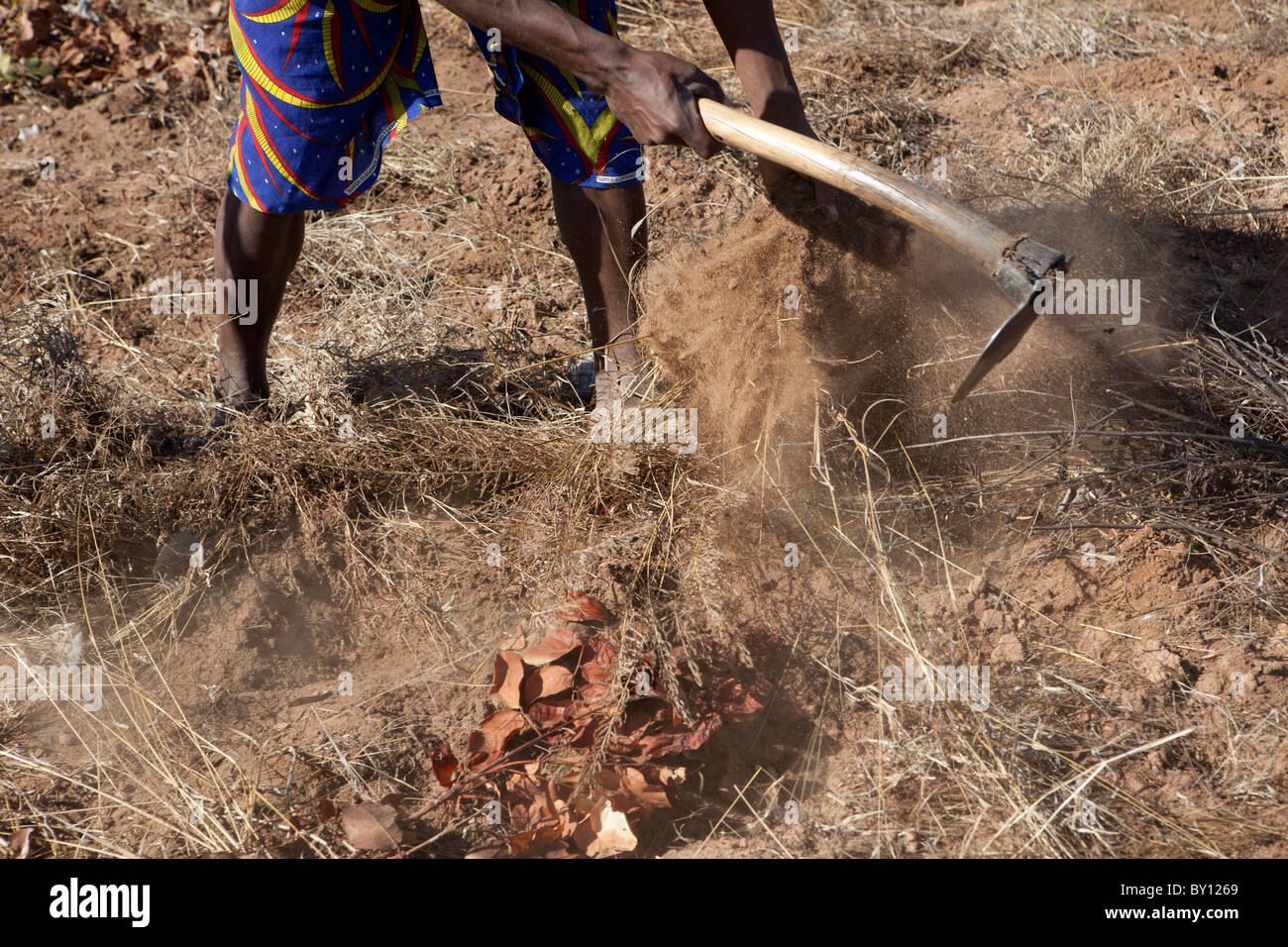 Clearing land africa hi-res stock photography and images - Alamy