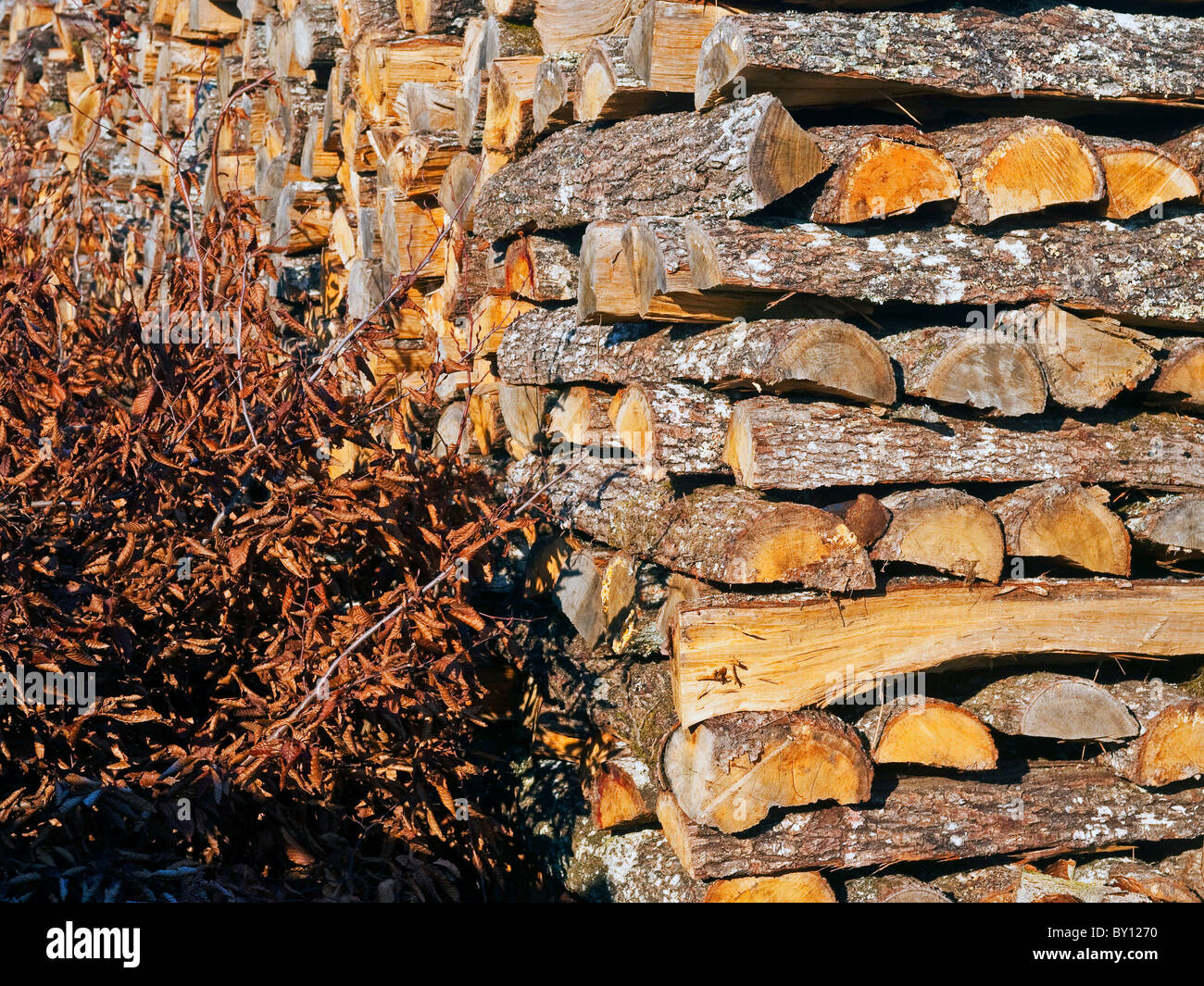 Stack chopped oak wood domestic hi-res stock photography and images - Alamy