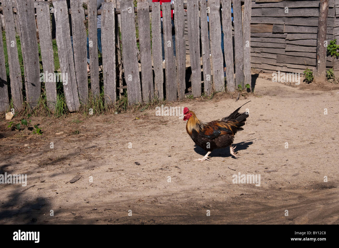 The Plimoth Plantation Museum in Plymouth Massachusetts where actors ...