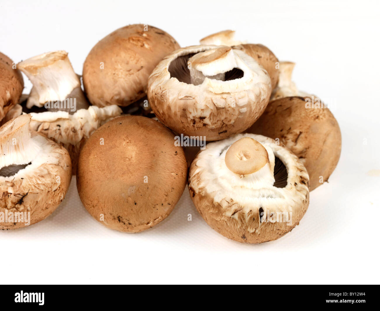 Chestnut mushrooms hi-res stock photography and images - Alamy