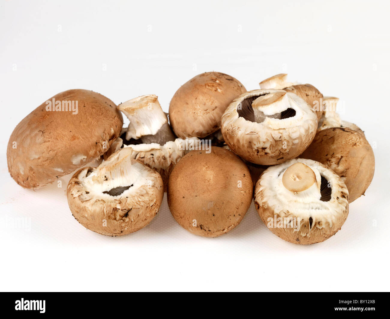 Chestnut mushrooms hi-res stock photography and images - Alamy