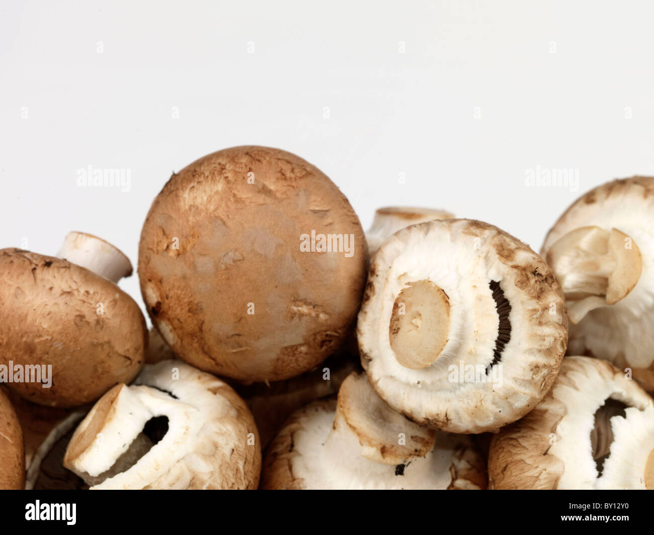 Chestnut mushrooms hi-res stock photography and images - Alamy