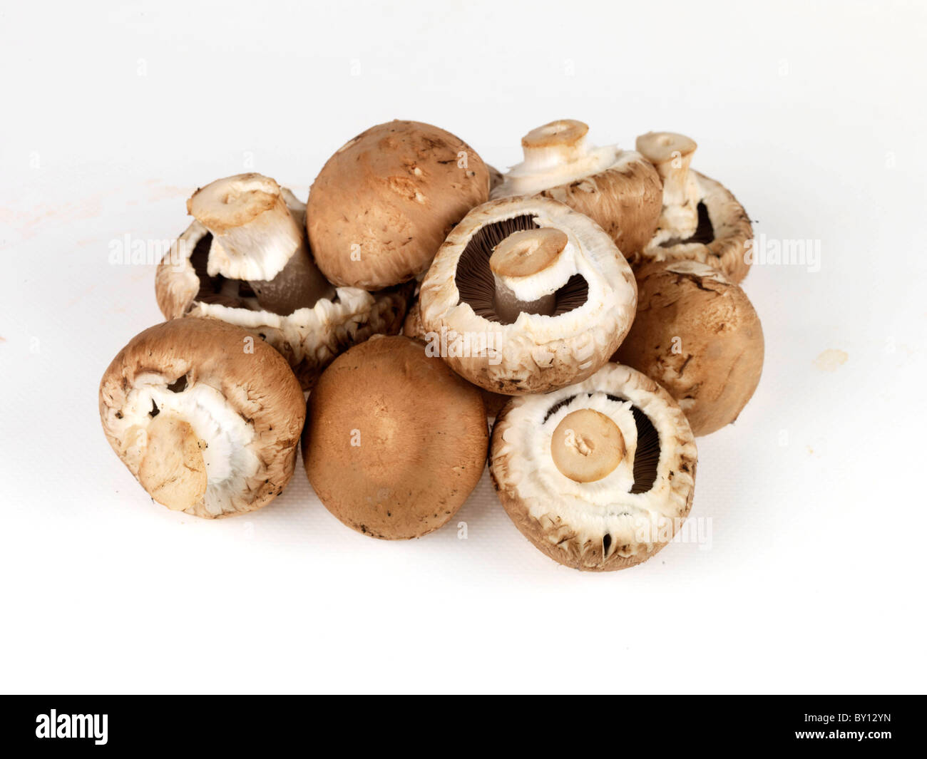 Chestnut mushrooms hi-res stock photography and images - Alamy