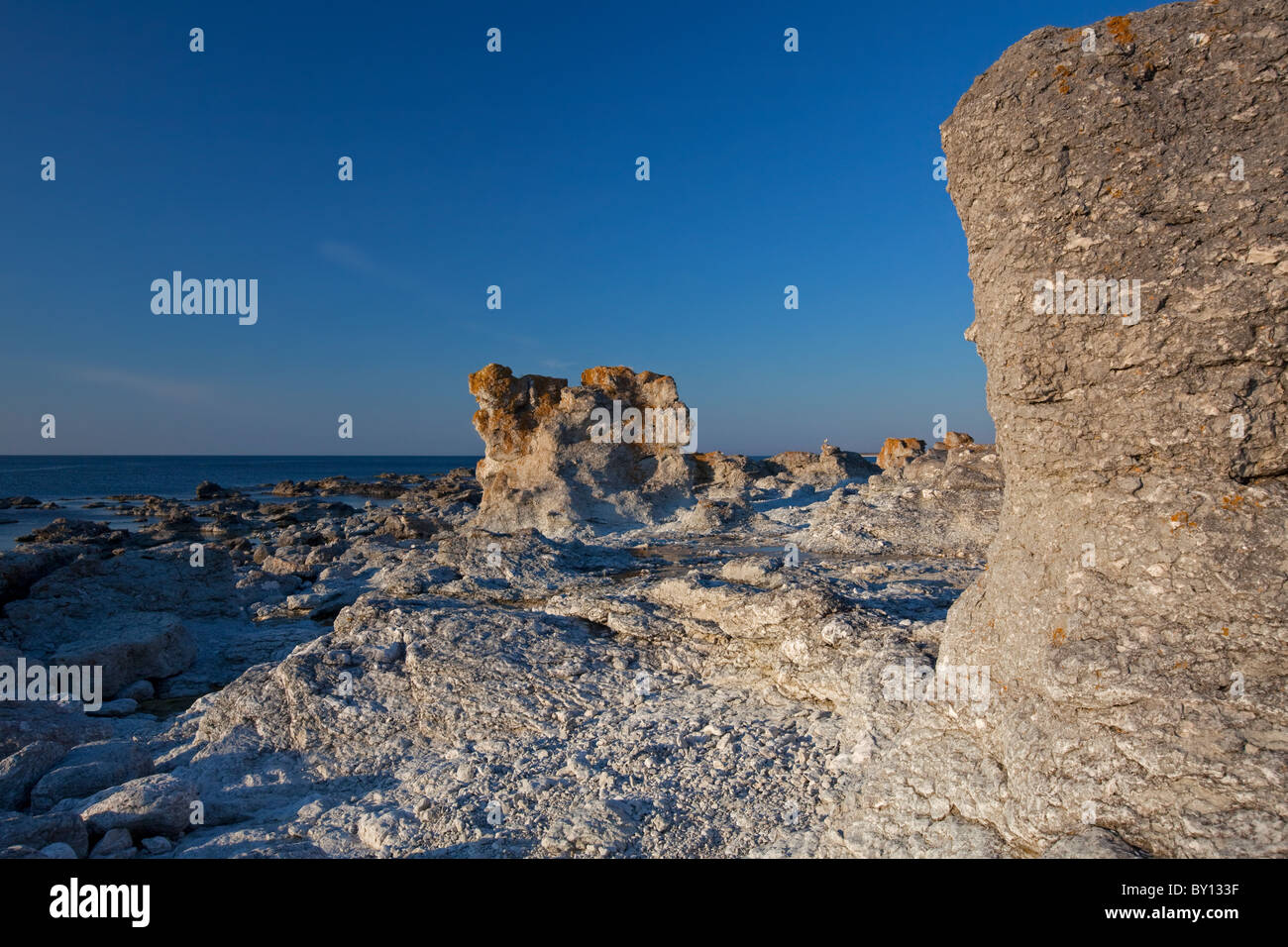 Limestone sea stacks / raukar at Digerhuvud, Gotland, Sweden Stock ...