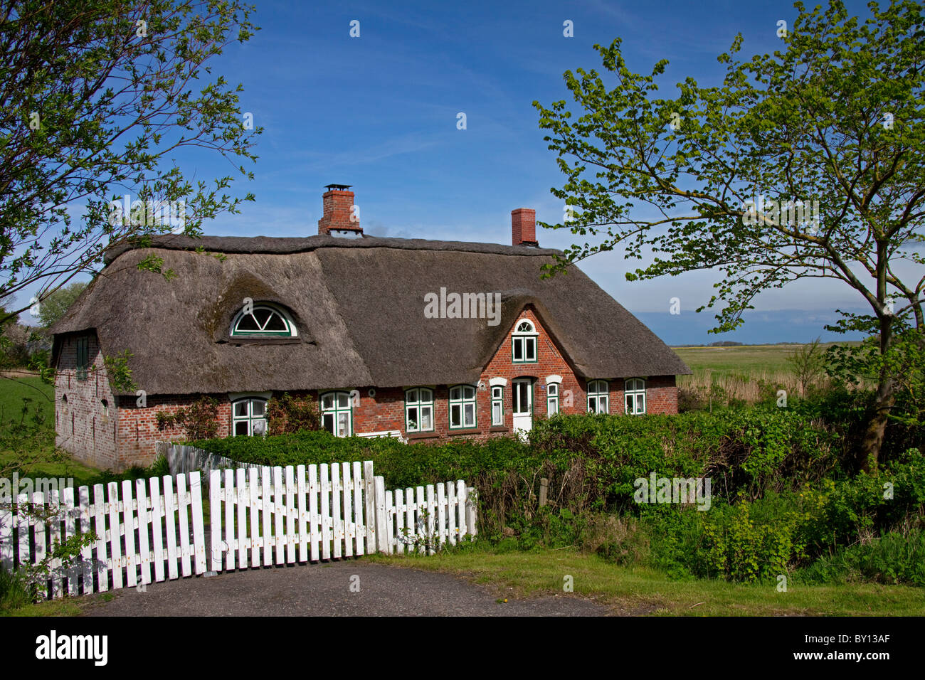 Frisian Traditional House Straw Thatched Roof Stock Photos & Frisian ...