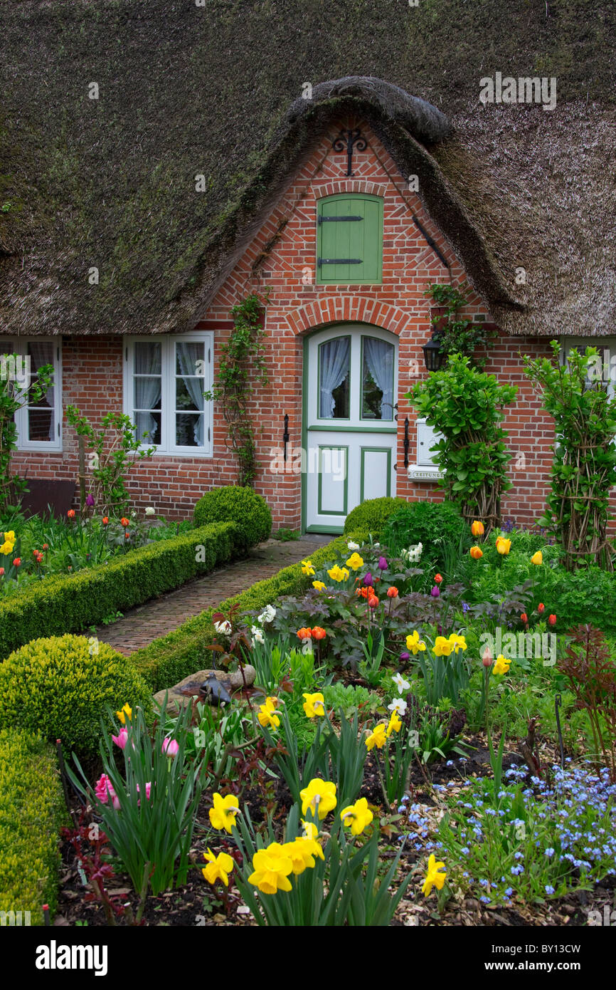 Colourful flowers in garden of Frisian traditional house with straw ...