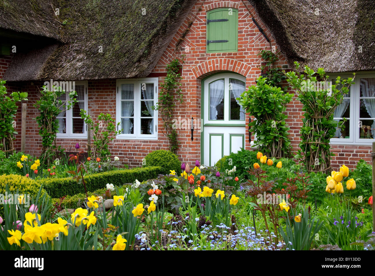 Colourful flowers in garden of Frisian traditional house with straw ...