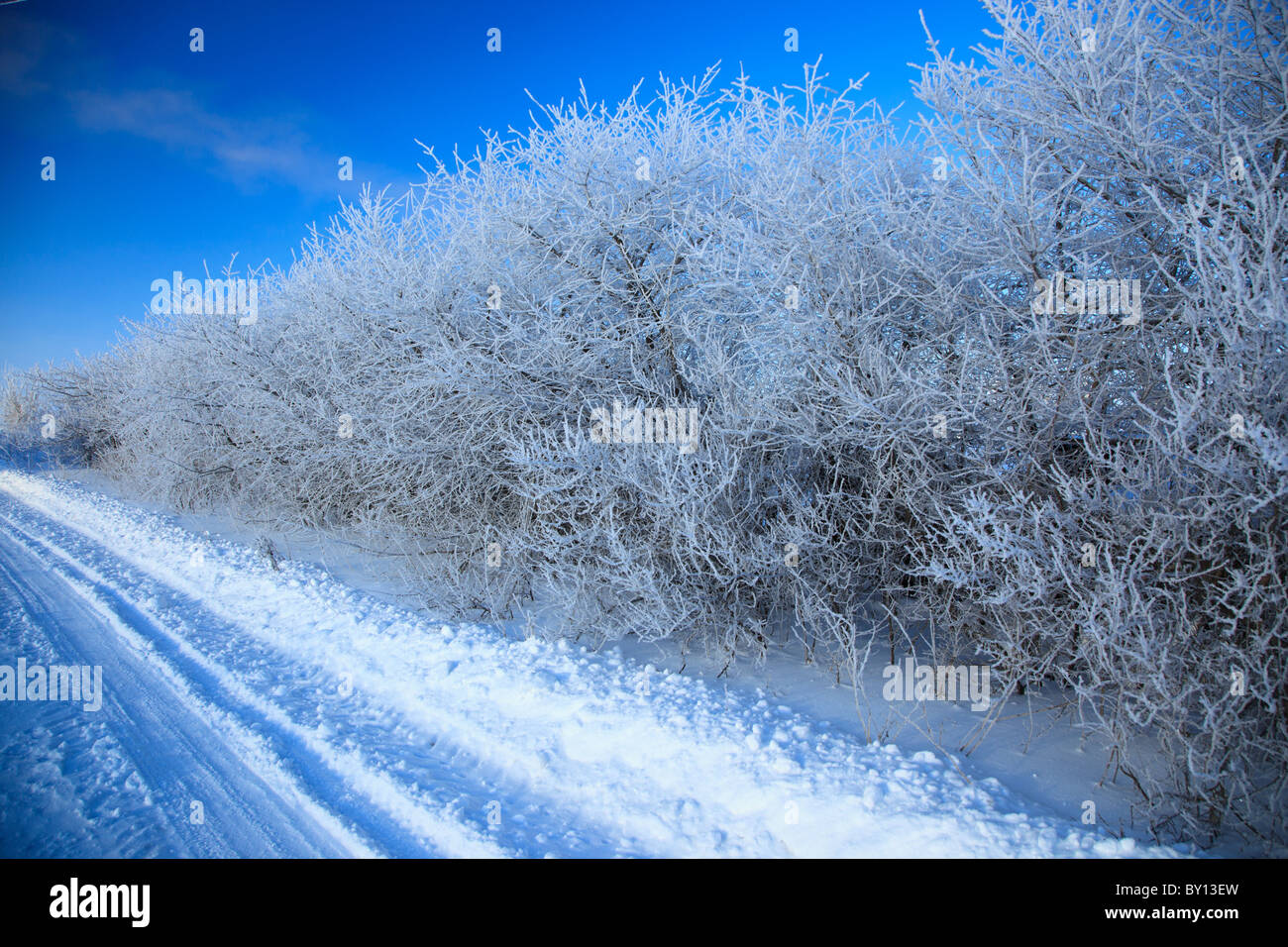 Beautiful winter landscape with white snow and the blue sky Stock Photo ...