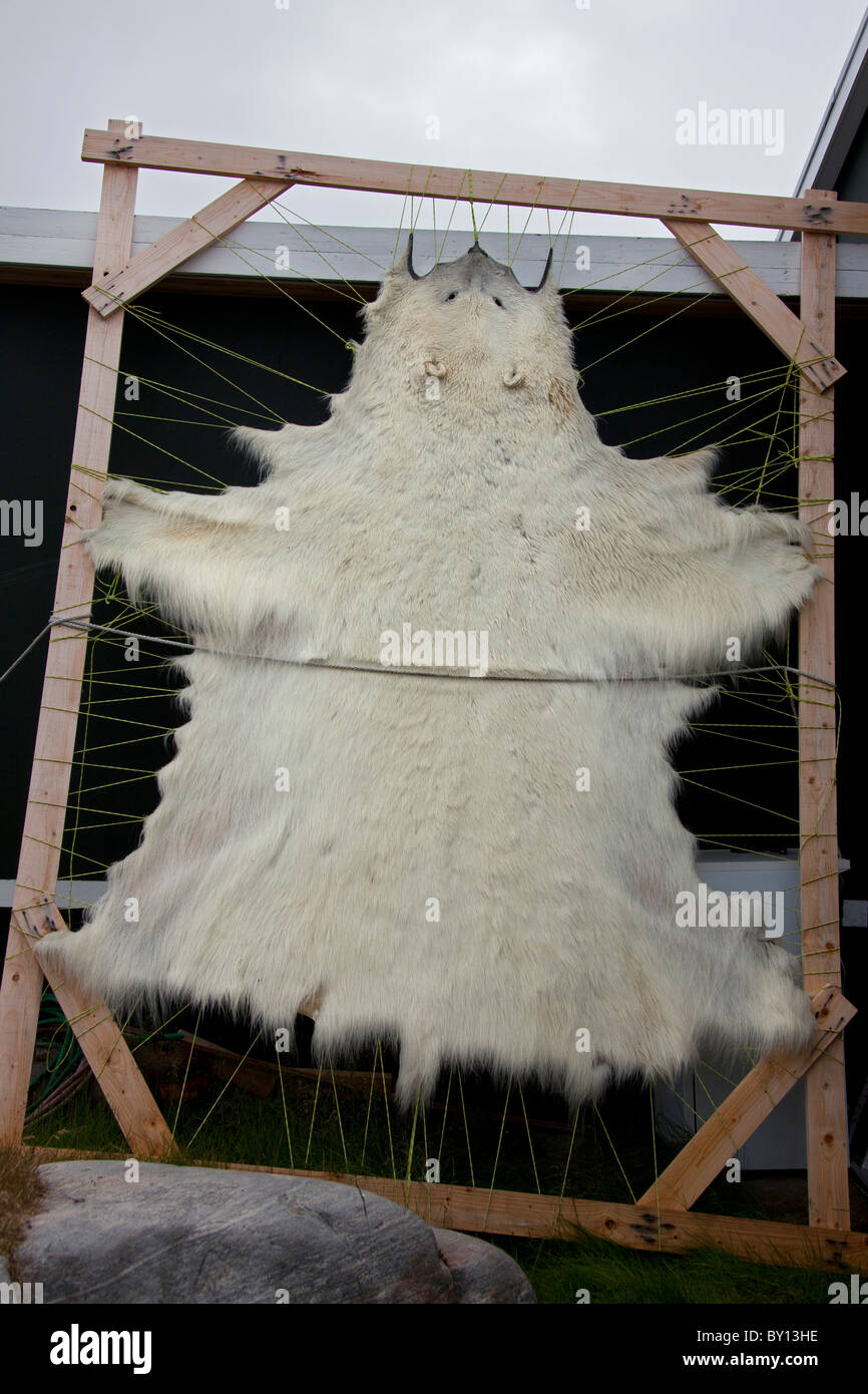 Stretched hide hi-res stock photography and images - Alamy