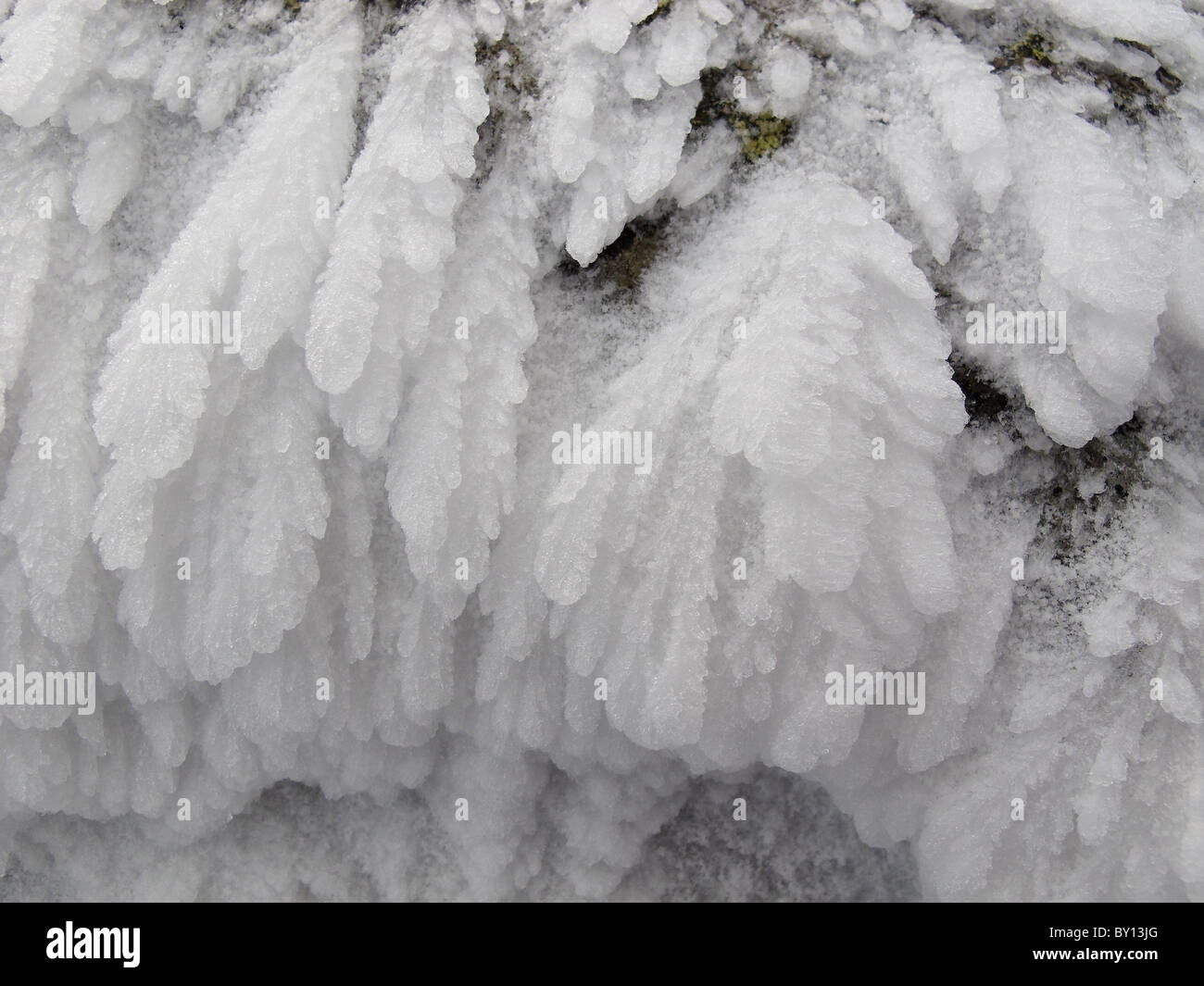 Rime ice on a rock Stock Photo - Alamy