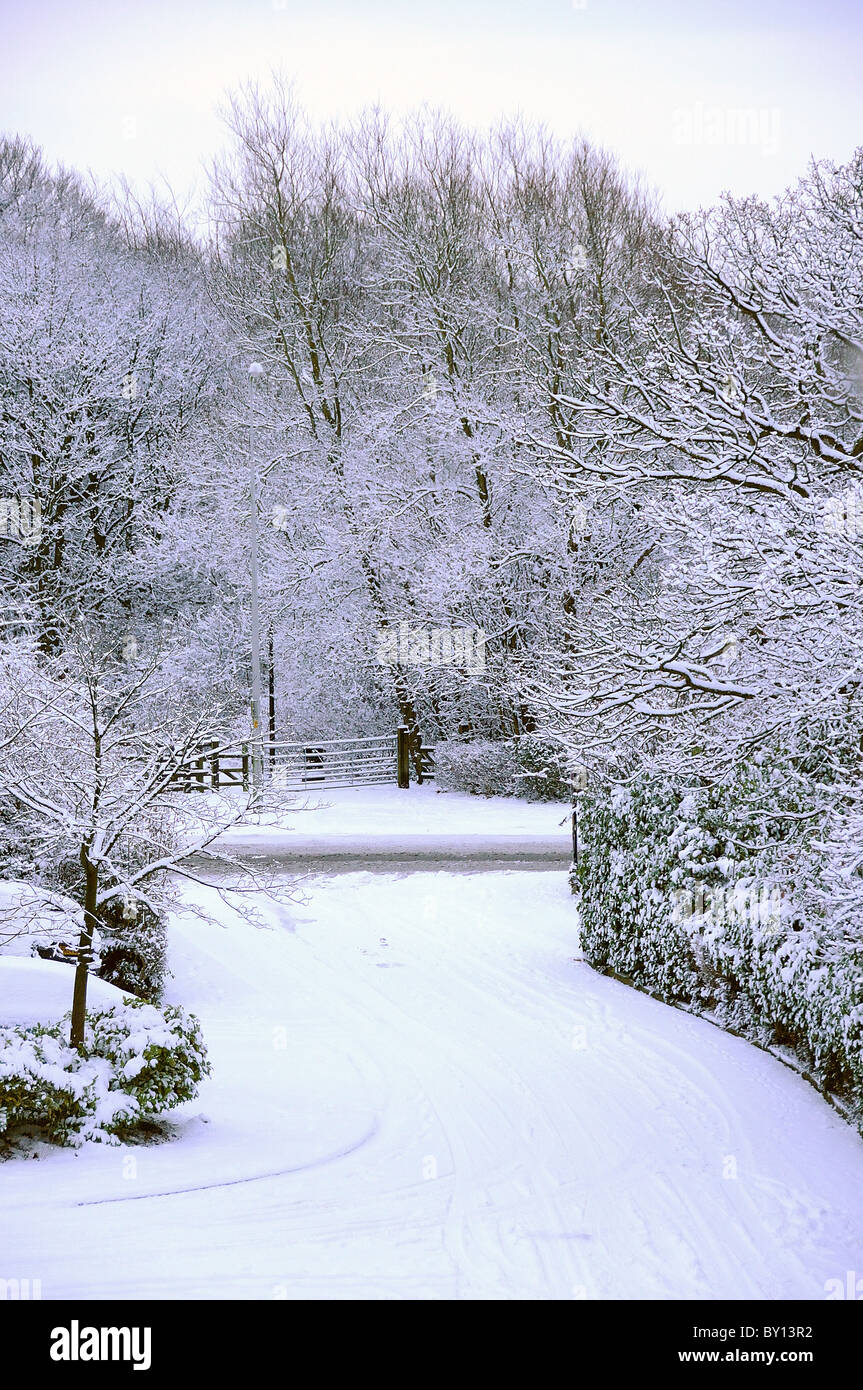 snow covered road in winter Stock Photo - Alamy