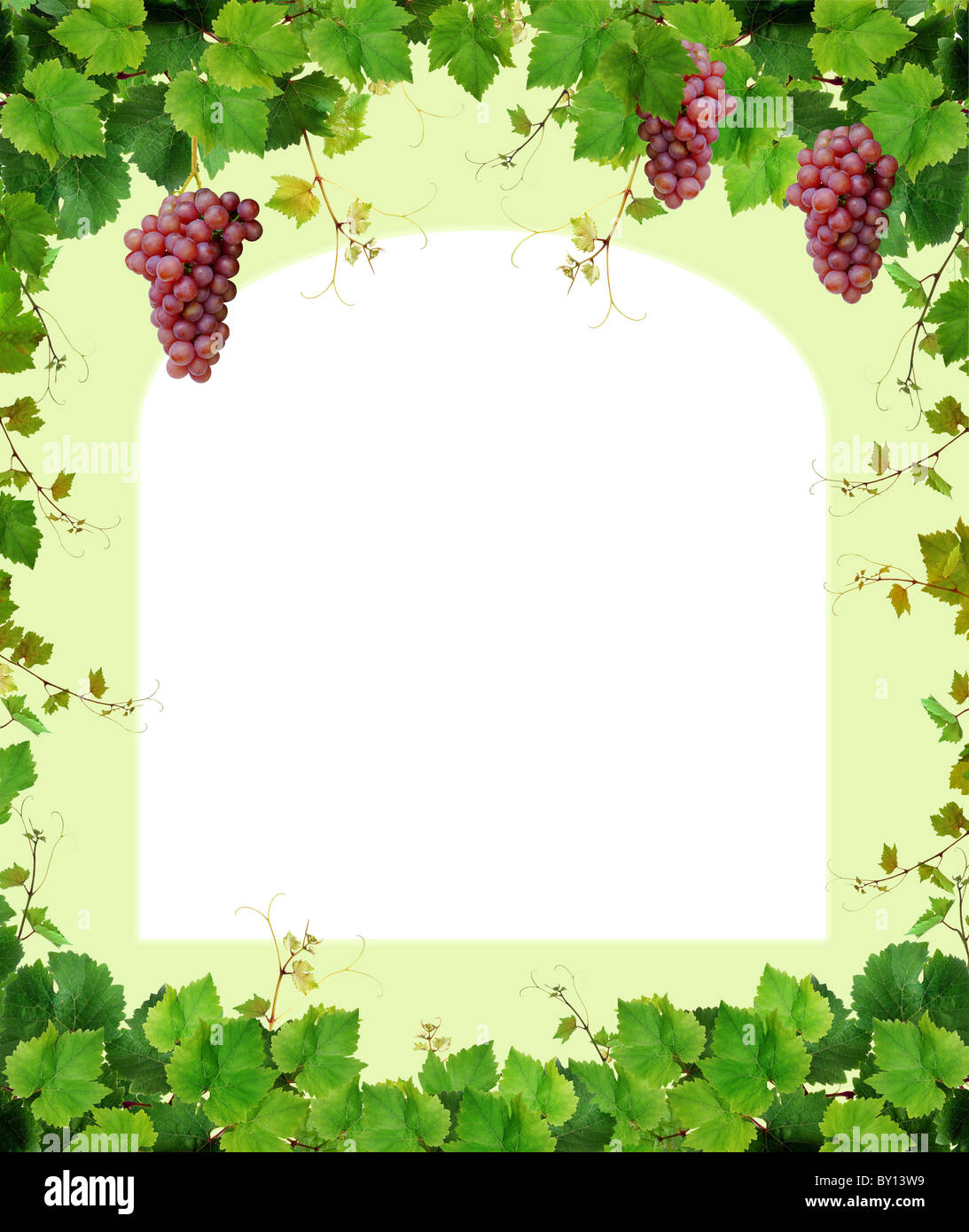 Decorative border grapes hi-res stock photography and images - Alamy