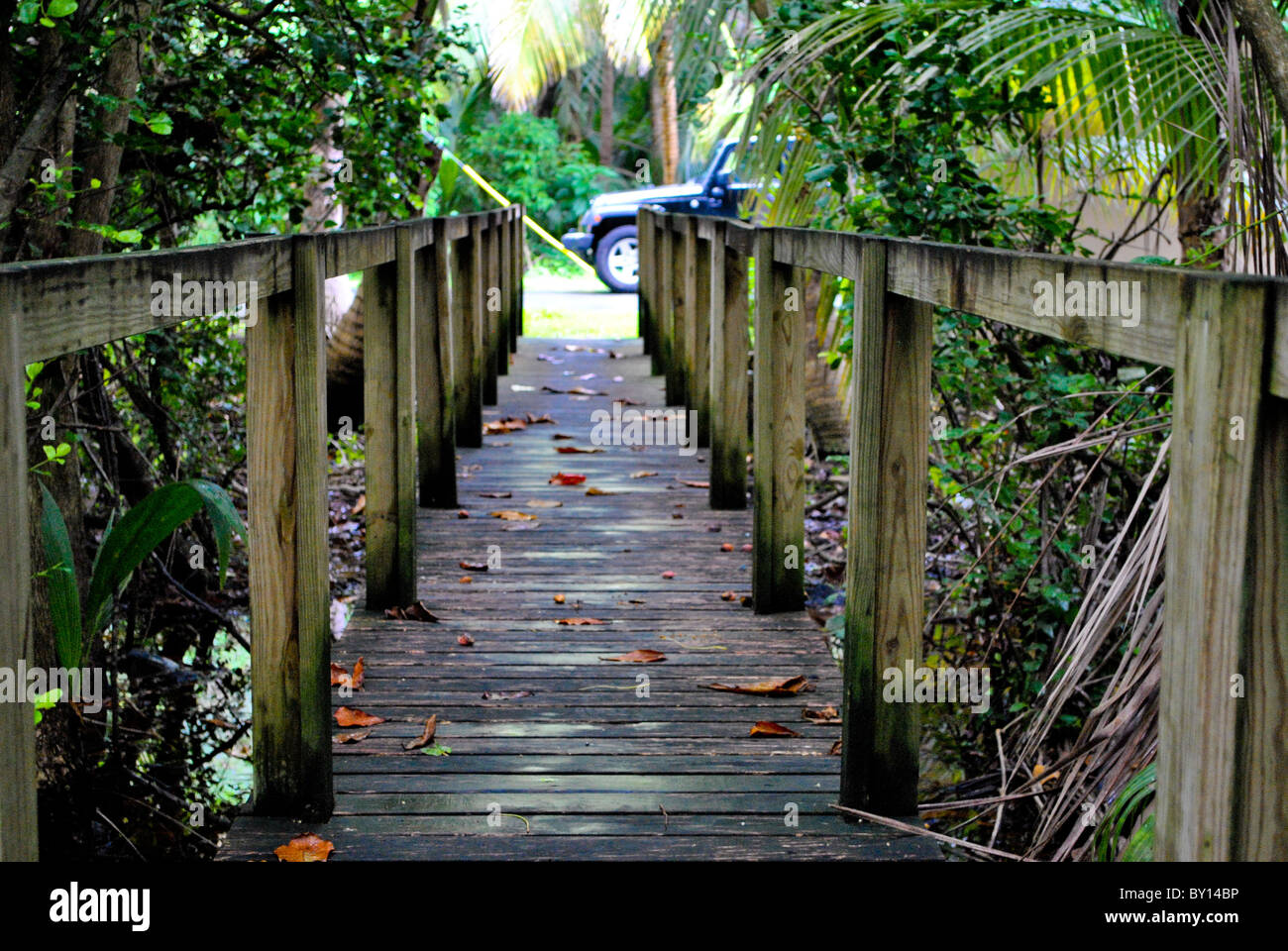 Wooden bridge over the swamp and the car Stock Photo - Alamy