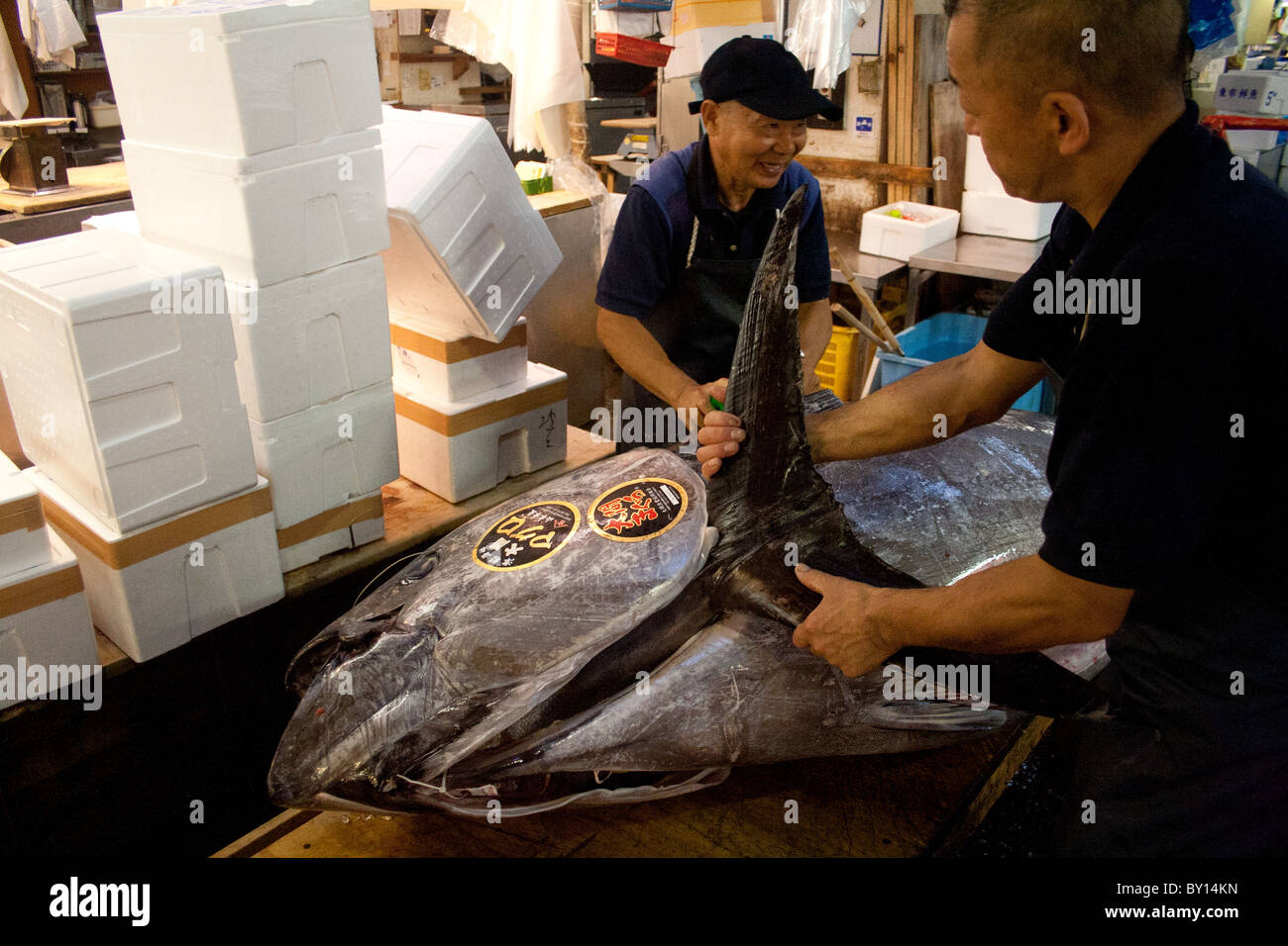 Tuna preparation at Tsukiji fish market Stock Photo - Alamy