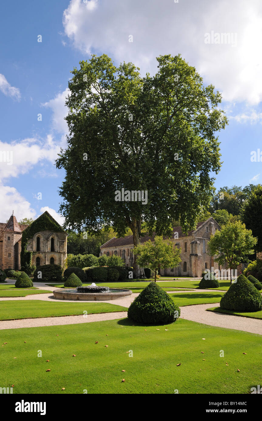 Plane tree in beautiful garden grounds of Abbaye de Fontenay Burgundy ...