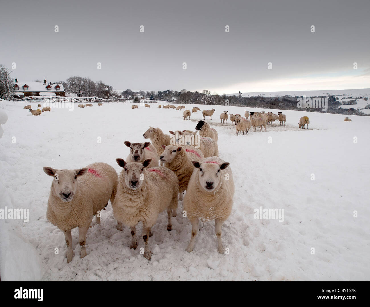 Seasons food calendar hi-res stock photography and images - Alamy