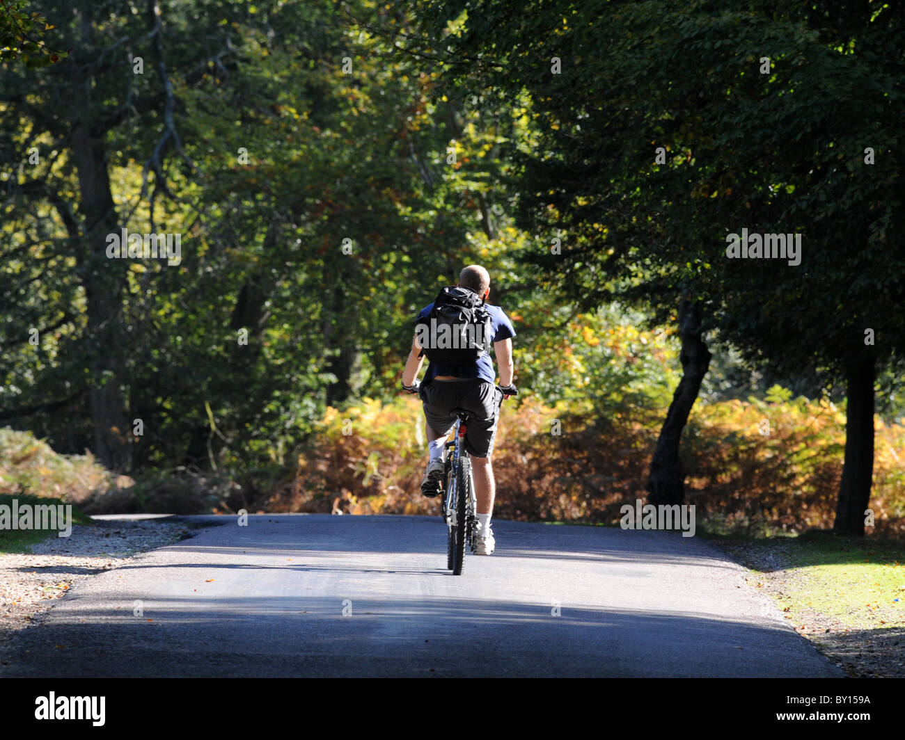 A cyclist cycling in beautiful countryside, wild and free with the open ...