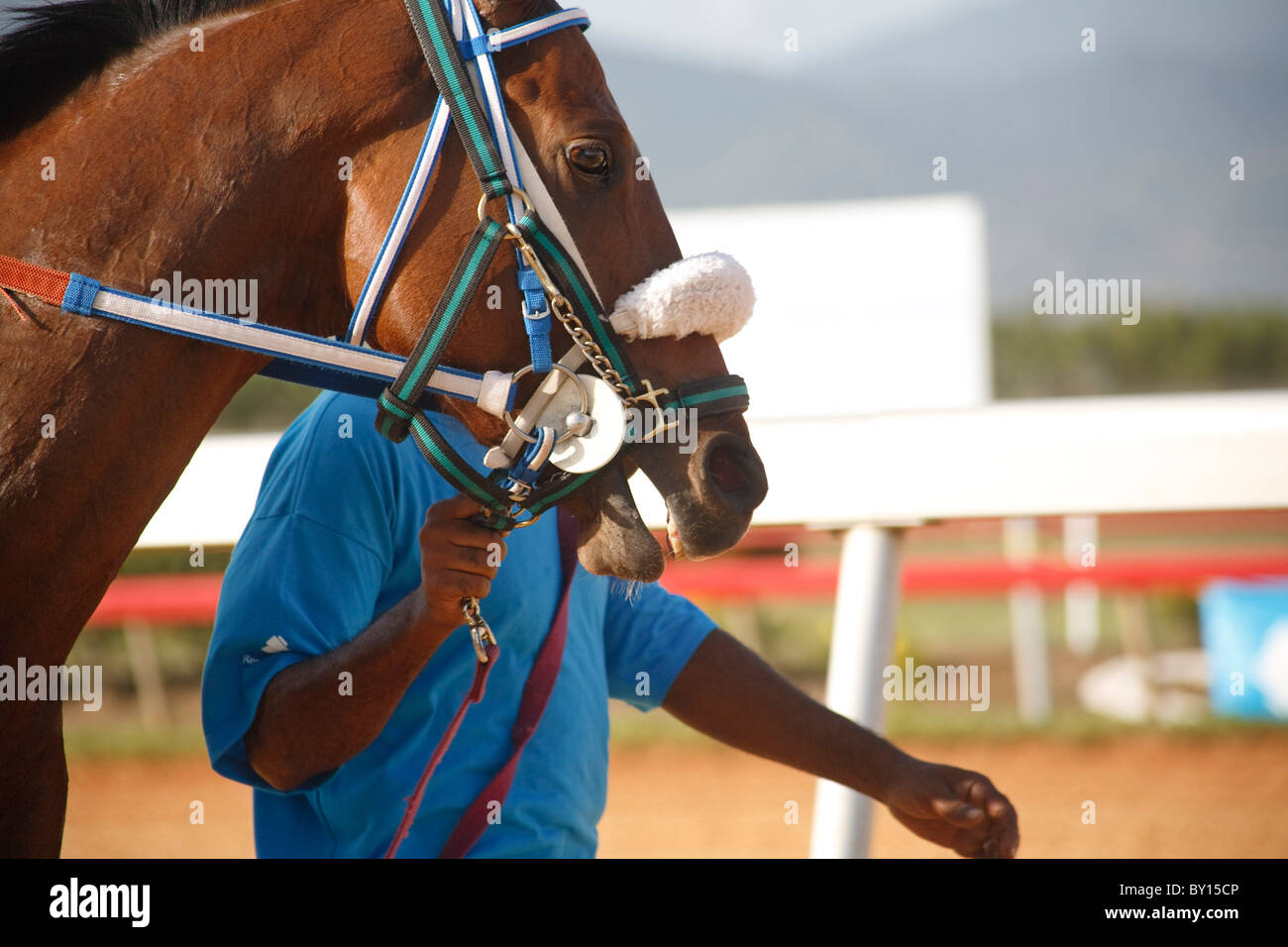 Arima trinidad hi-res stock photography and images - Alamy