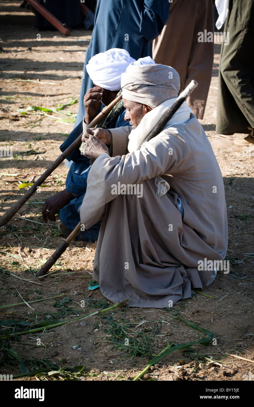 Sticks egypt hi-res stock photography and images - Alamy