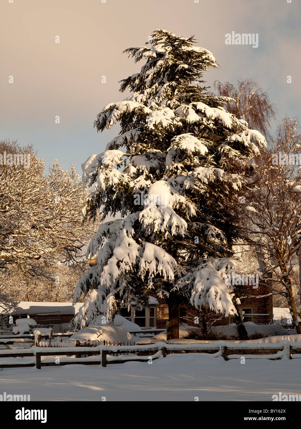 Moors covered in snow hi-res stock photography and images - Alamy