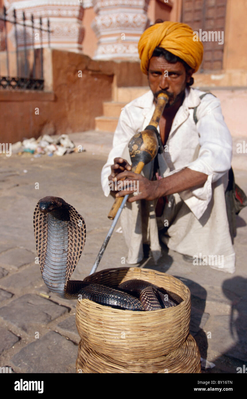 Snake-Charmer, Jaipur, Rajasthan, India Stock Photo - Alamy